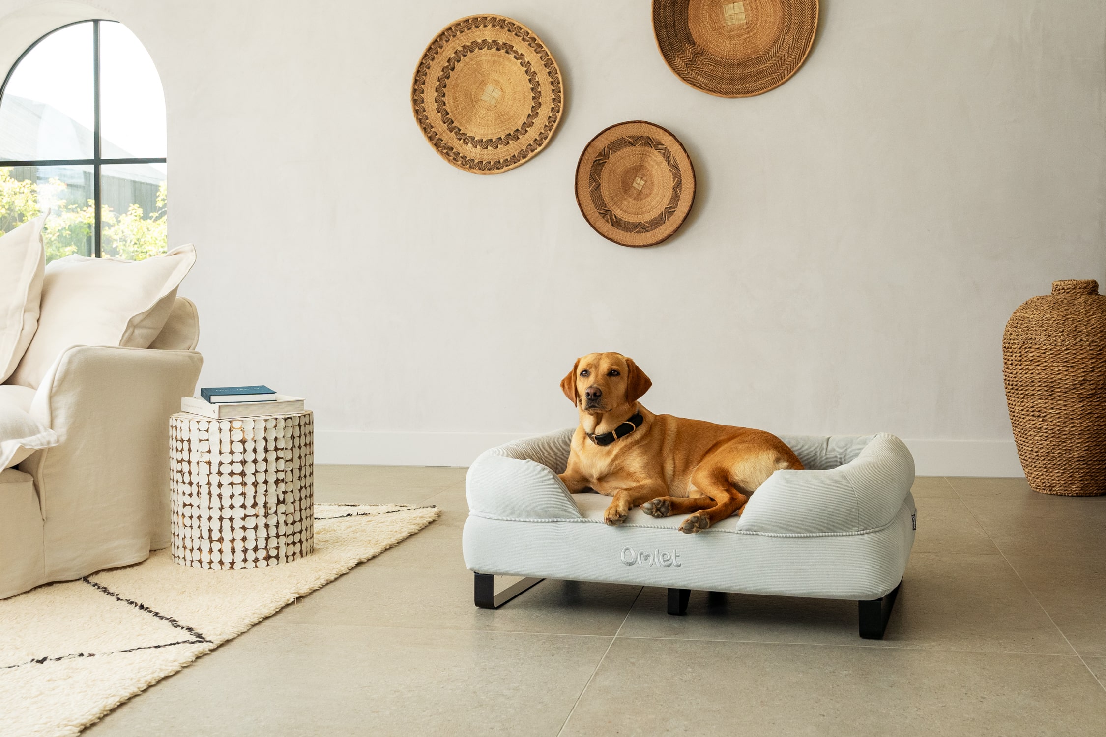 Elegantes Stiftung Warentest Hundebetten Bild